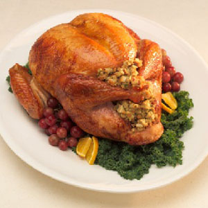 Chester Assado - Clica na ilha |Clica na ilha